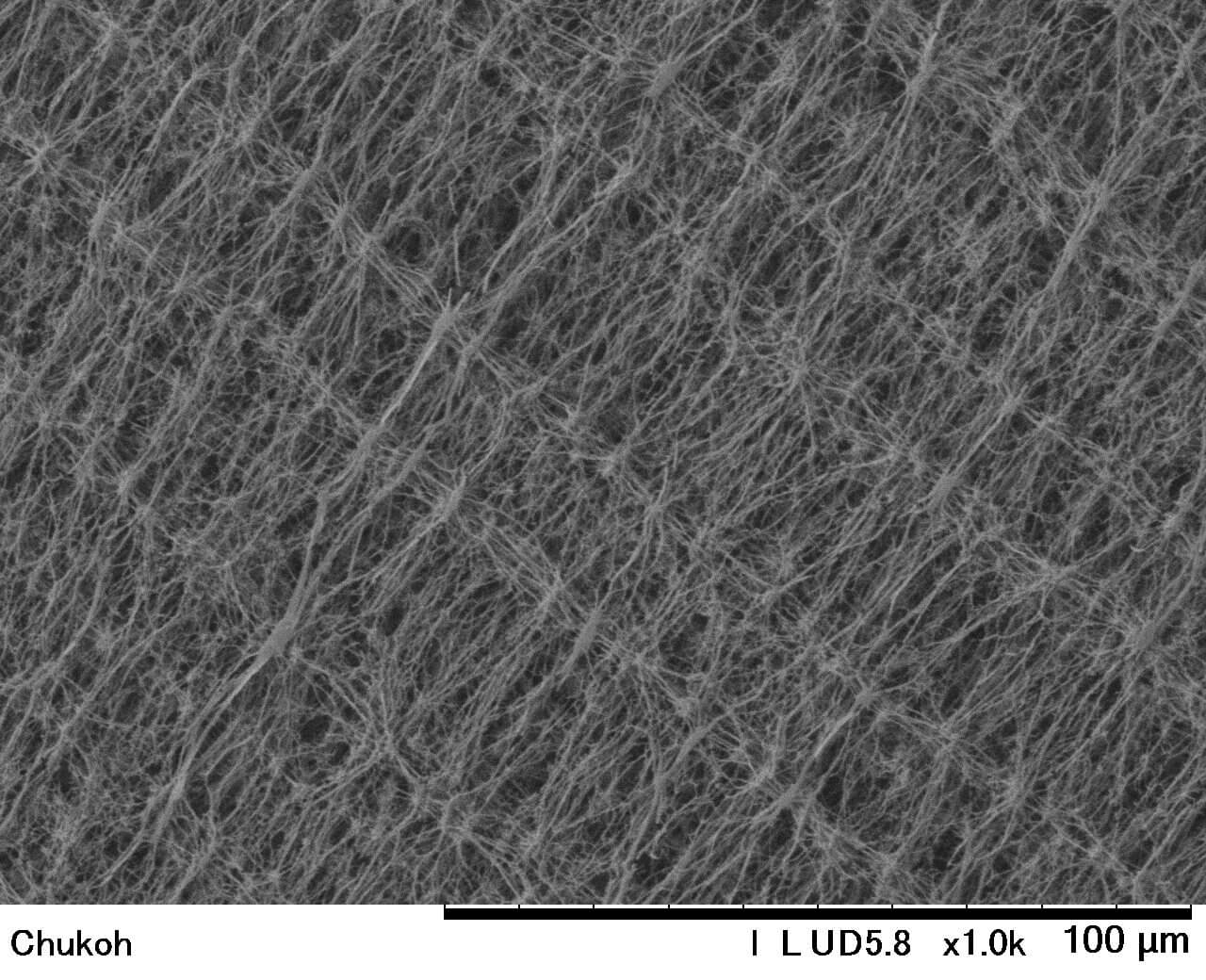 fluoroplastic Chukoh Chemical Industries, Ltd.